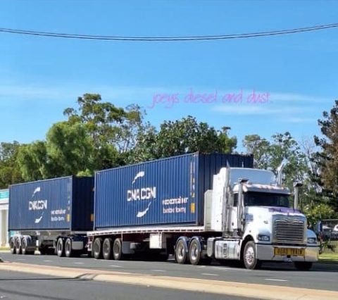 Why Tautliner Truck is One of the Best Options for Container Transport ...